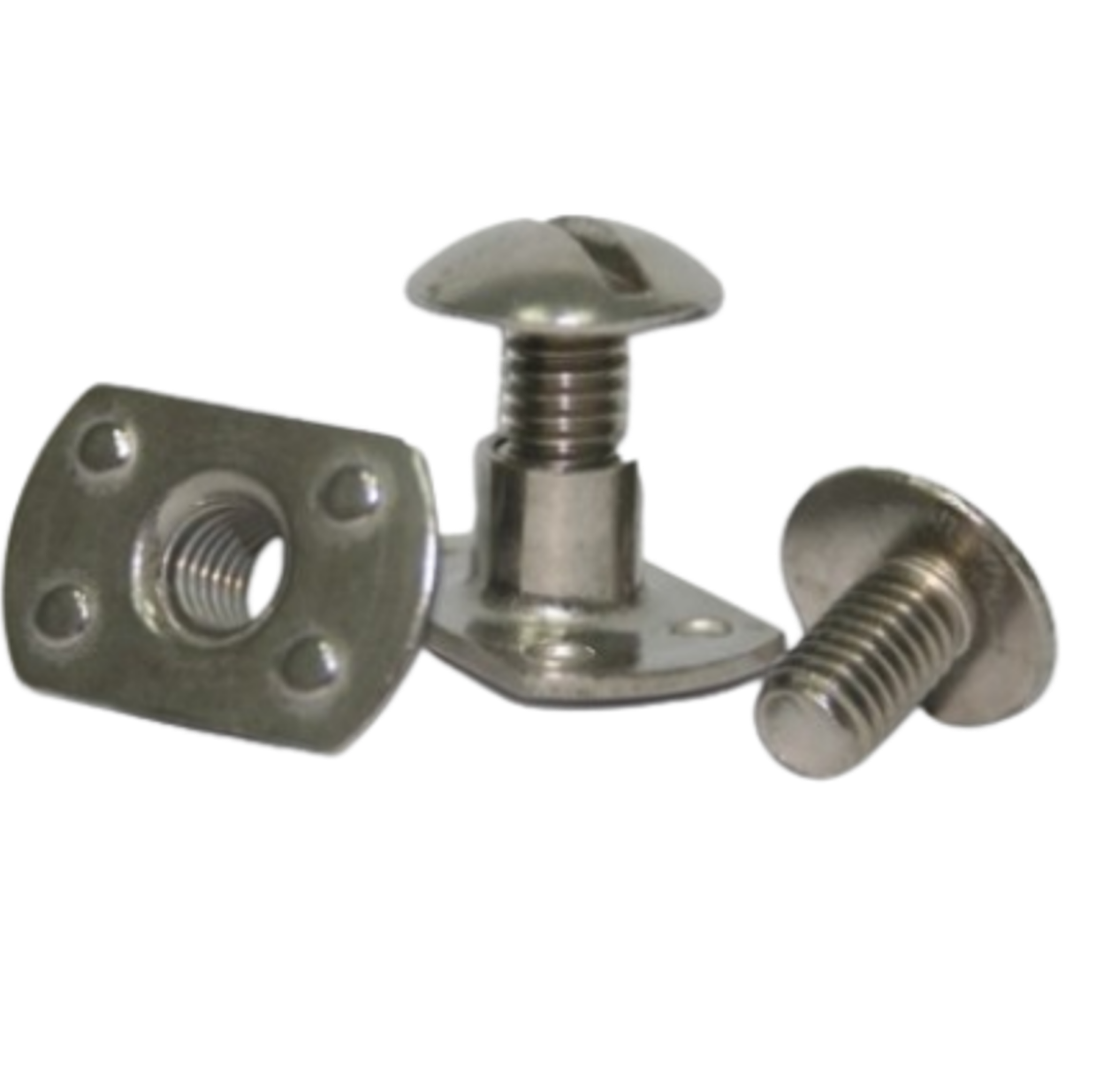 DiveSystem Extra vlakke RVS bout M6 (bout en moer)